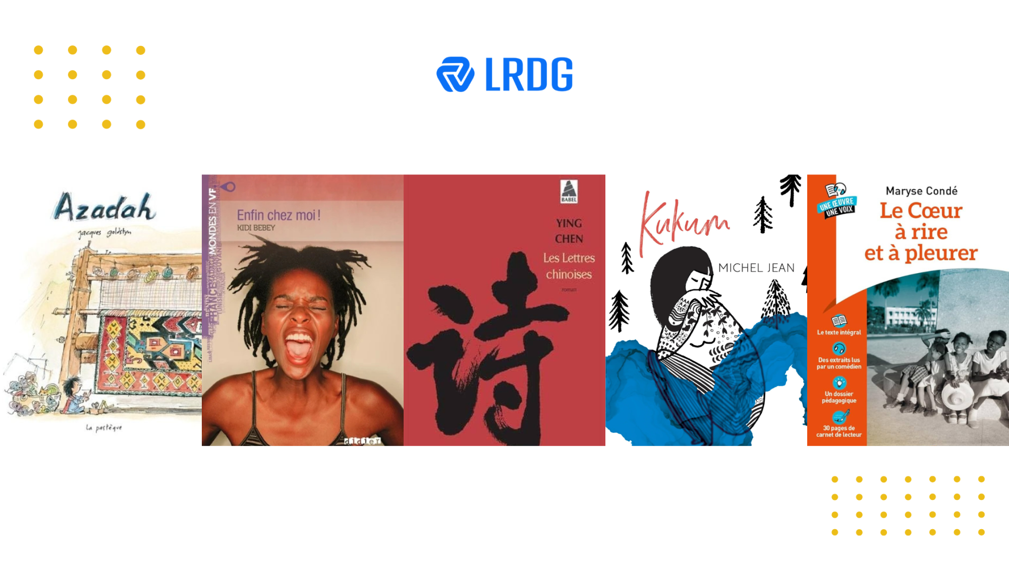 Les meilleurs livres pour apprendre le français - LRDG